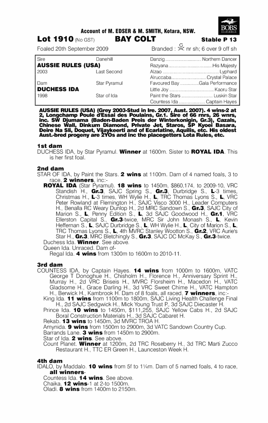 Acme Thoroughbred Horse Profile - Next Race, Form, Stats, News ...