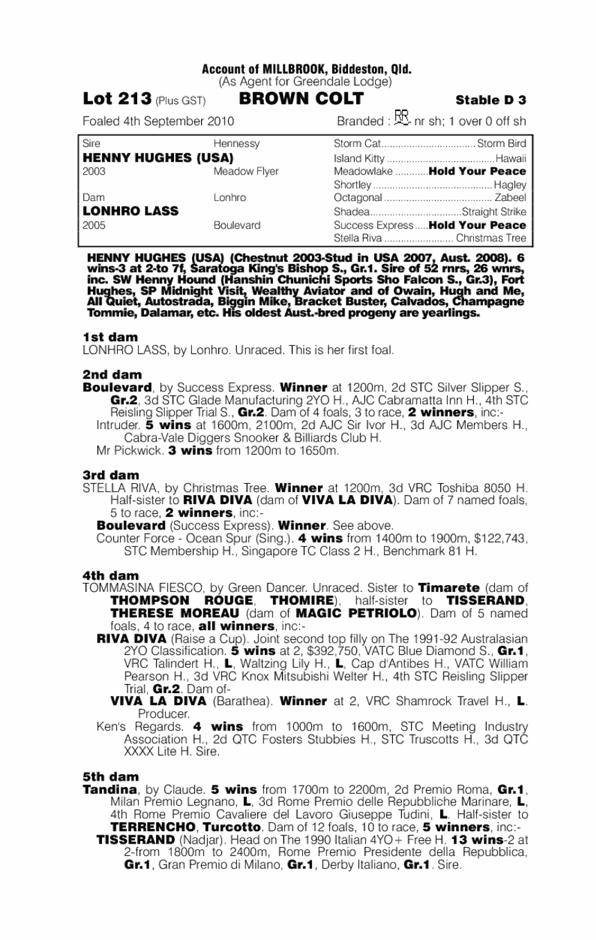 In Like Flynn Thoroughbred Horse Profile - Next Race, Form, Stats, News ...