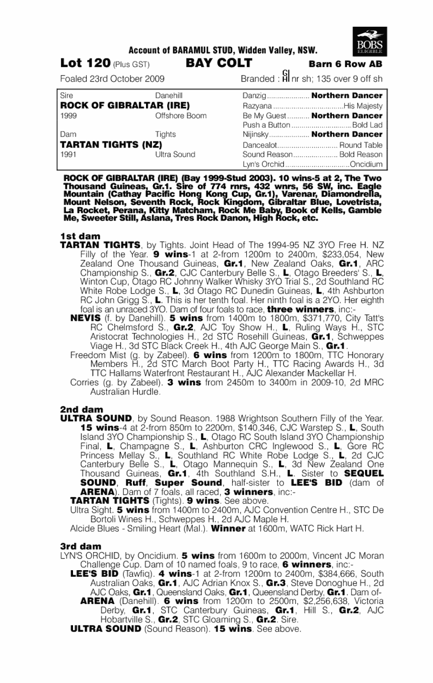 Tower Of Homage Thoroughbred Horse Profile - Next Race, Form, Stats ...