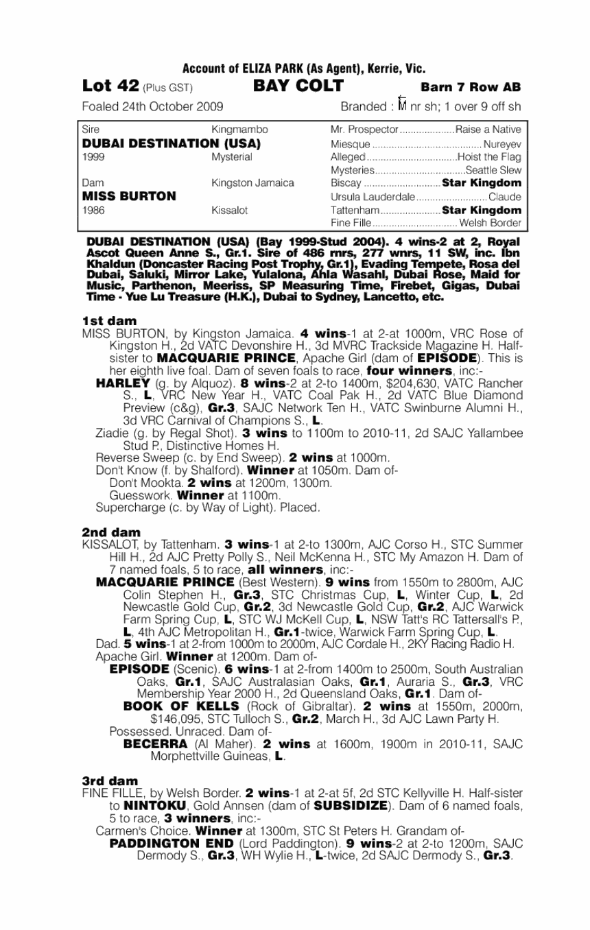 Dubai Gee Eye Thoroughbred Horse Profile - Next Race, Form, Stats, News ...