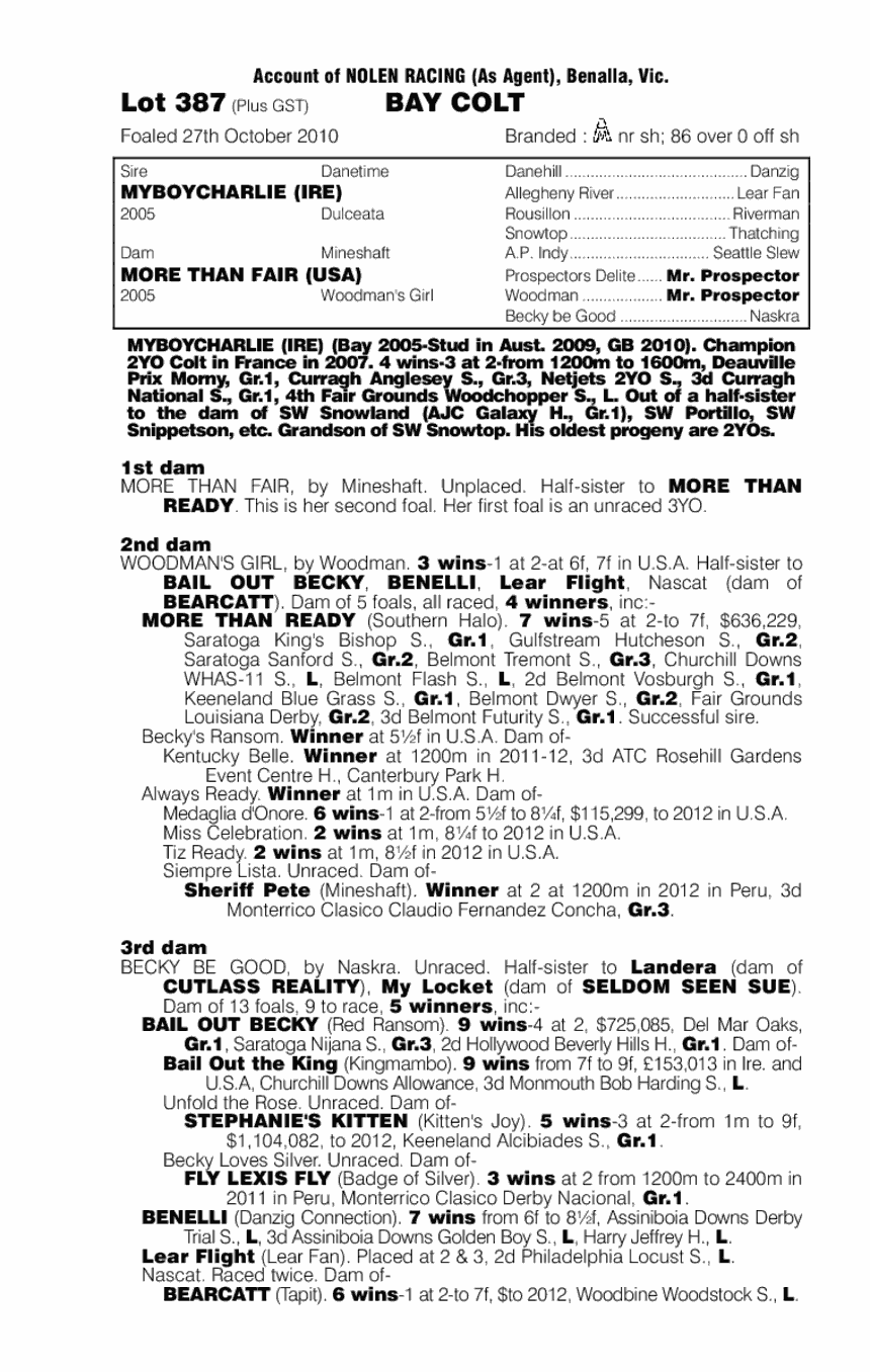 More Than Charlie Thoroughbred Horse Profile - Next Race, Form, Stats ...