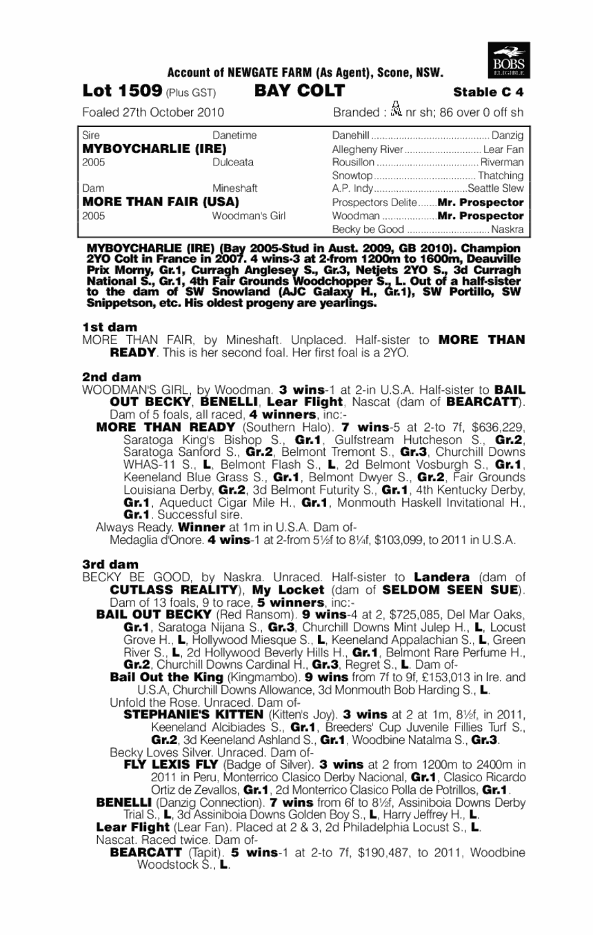 More Than Charlie Thoroughbred Horse Profile - Next Race, Form, Stats ...