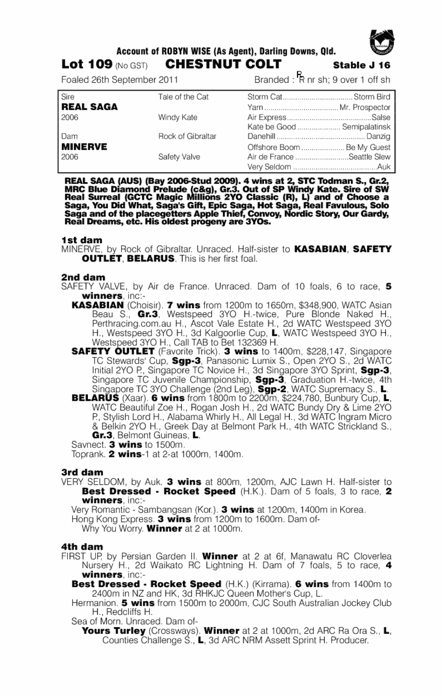 Louis Tres Thoroughbred Horse Profile - Next Race, Form, Stats, News ...