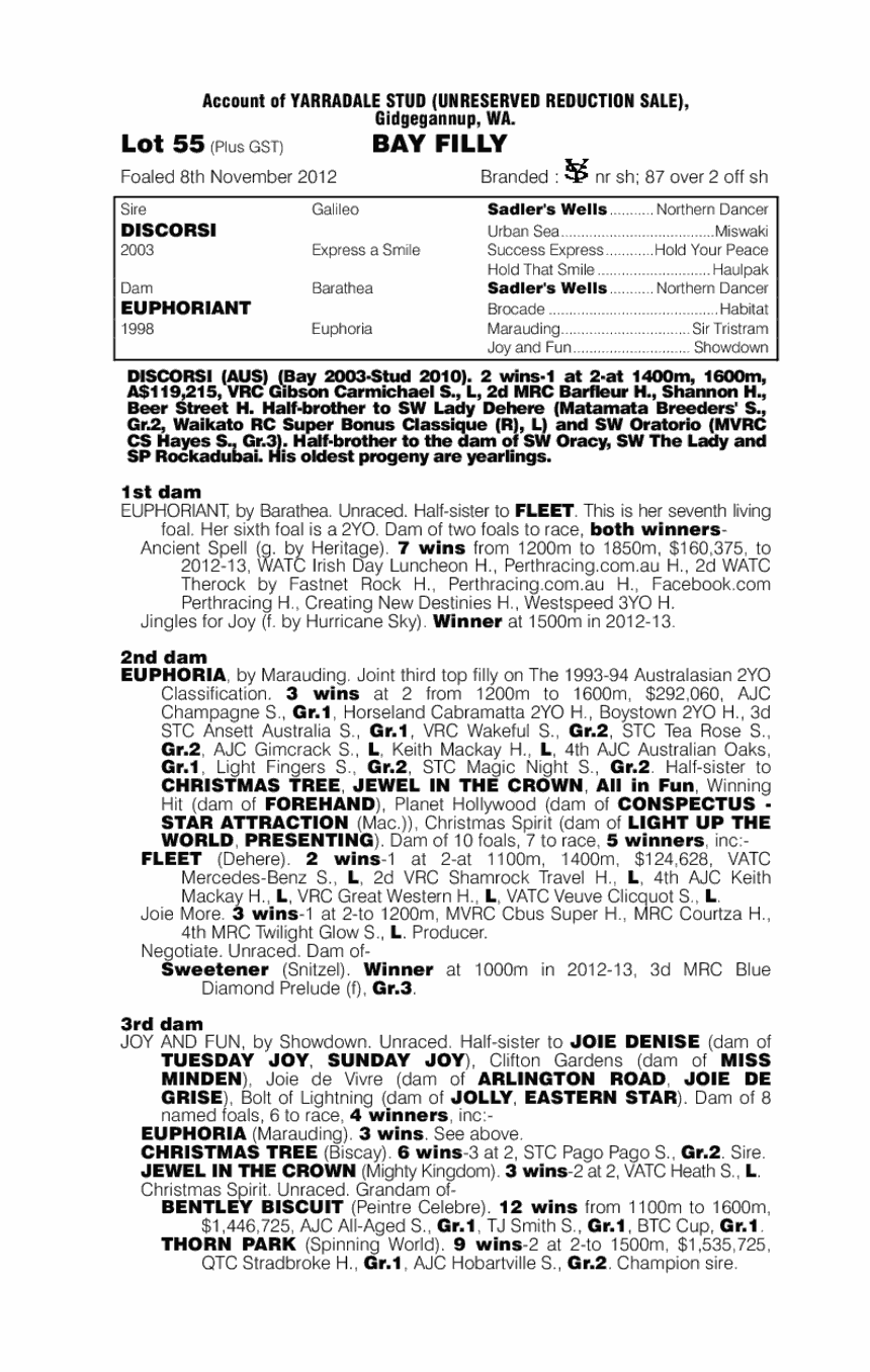 Strawberry Wine Thoroughbred Horse Profile - Next Race, Form, Stats ...