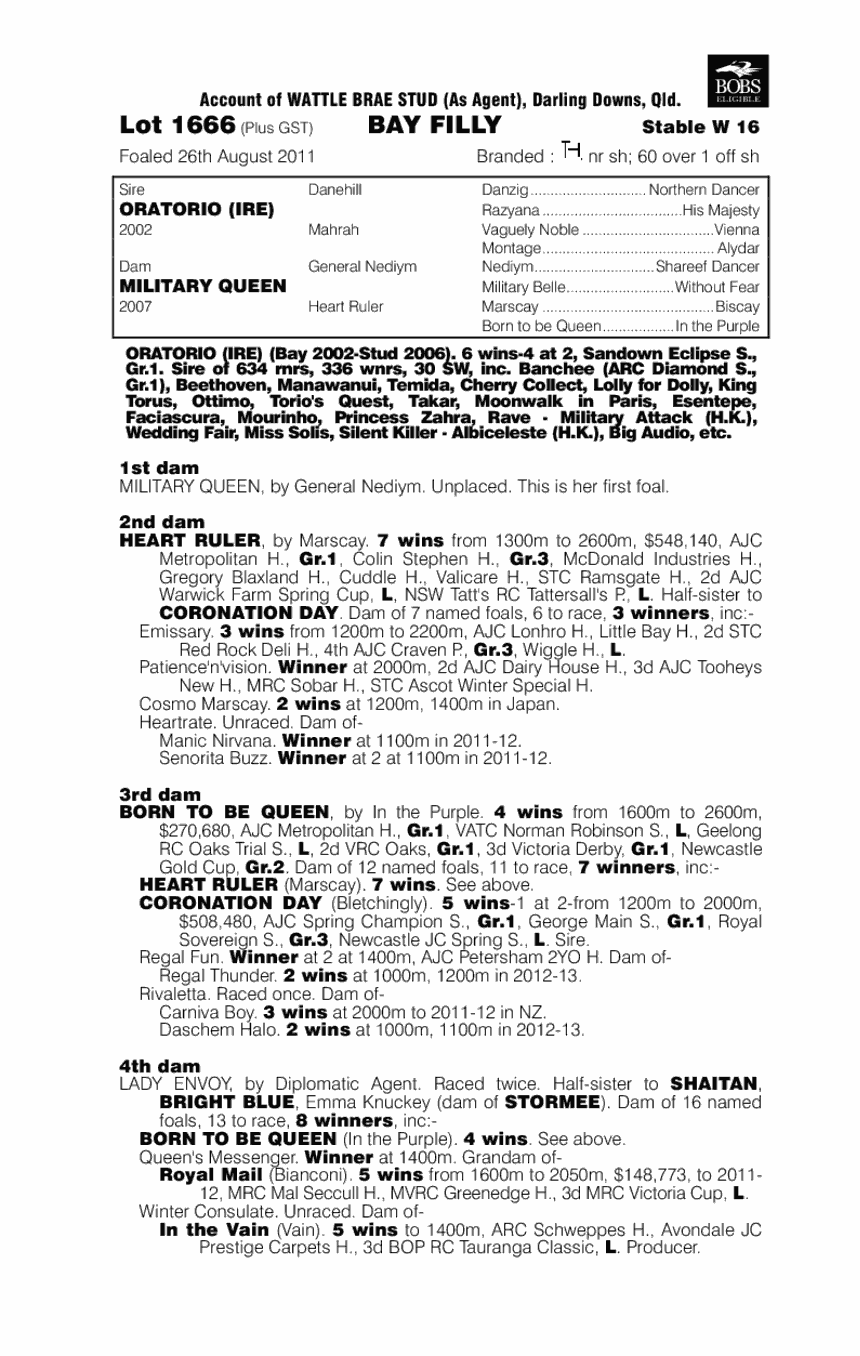 Princess Torio Thoroughbred Horse Profile - Next Race, Form, Stats, News, Breeding | Sky Racing ...