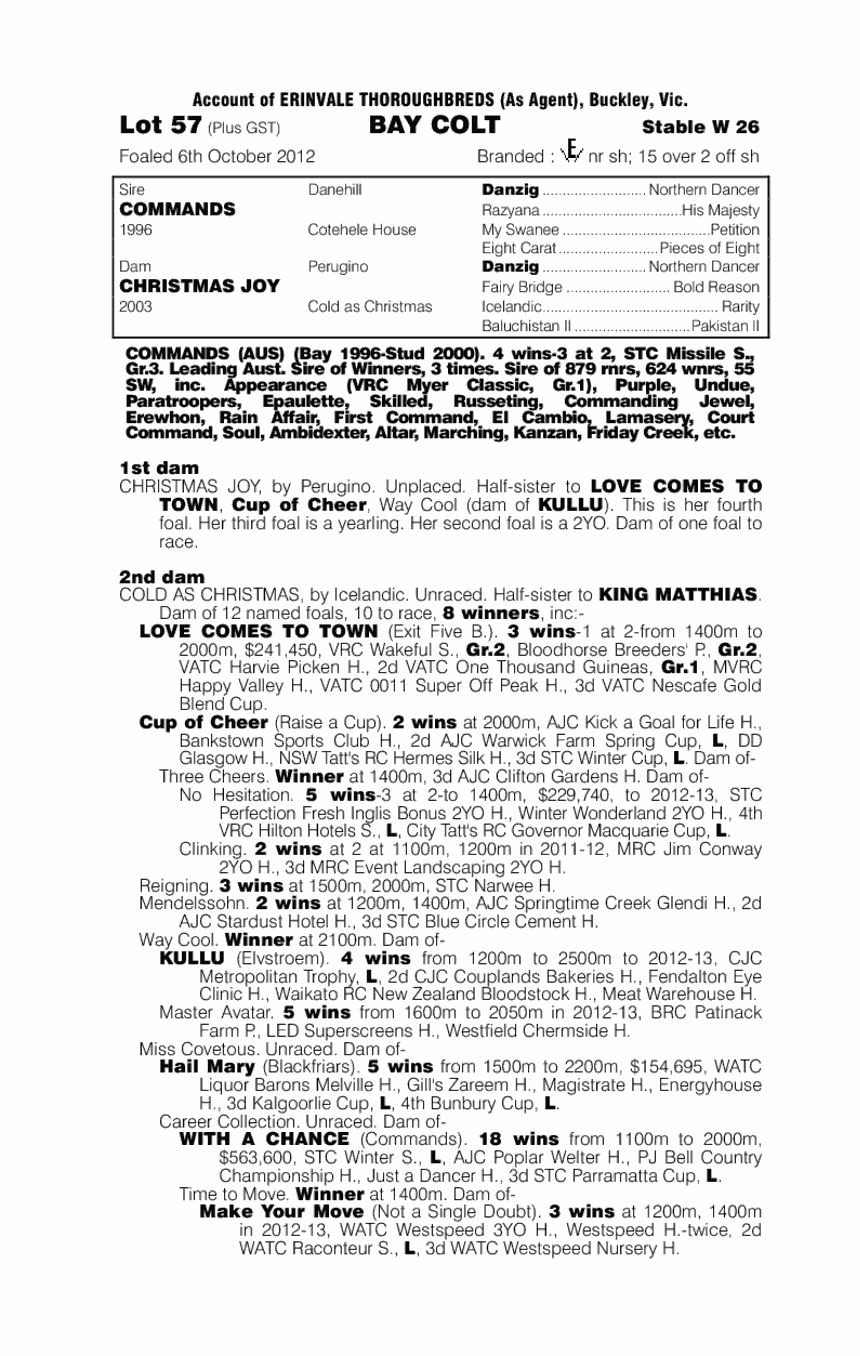 Phidias Thoroughbred Horse Profile - Next Race, Form, Stats, News ...