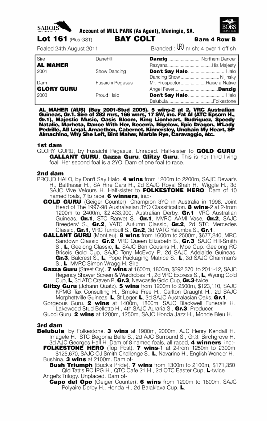 Grumpy Guru Thoroughbred Horse Profile - Next Race, Form, Stats, News ...