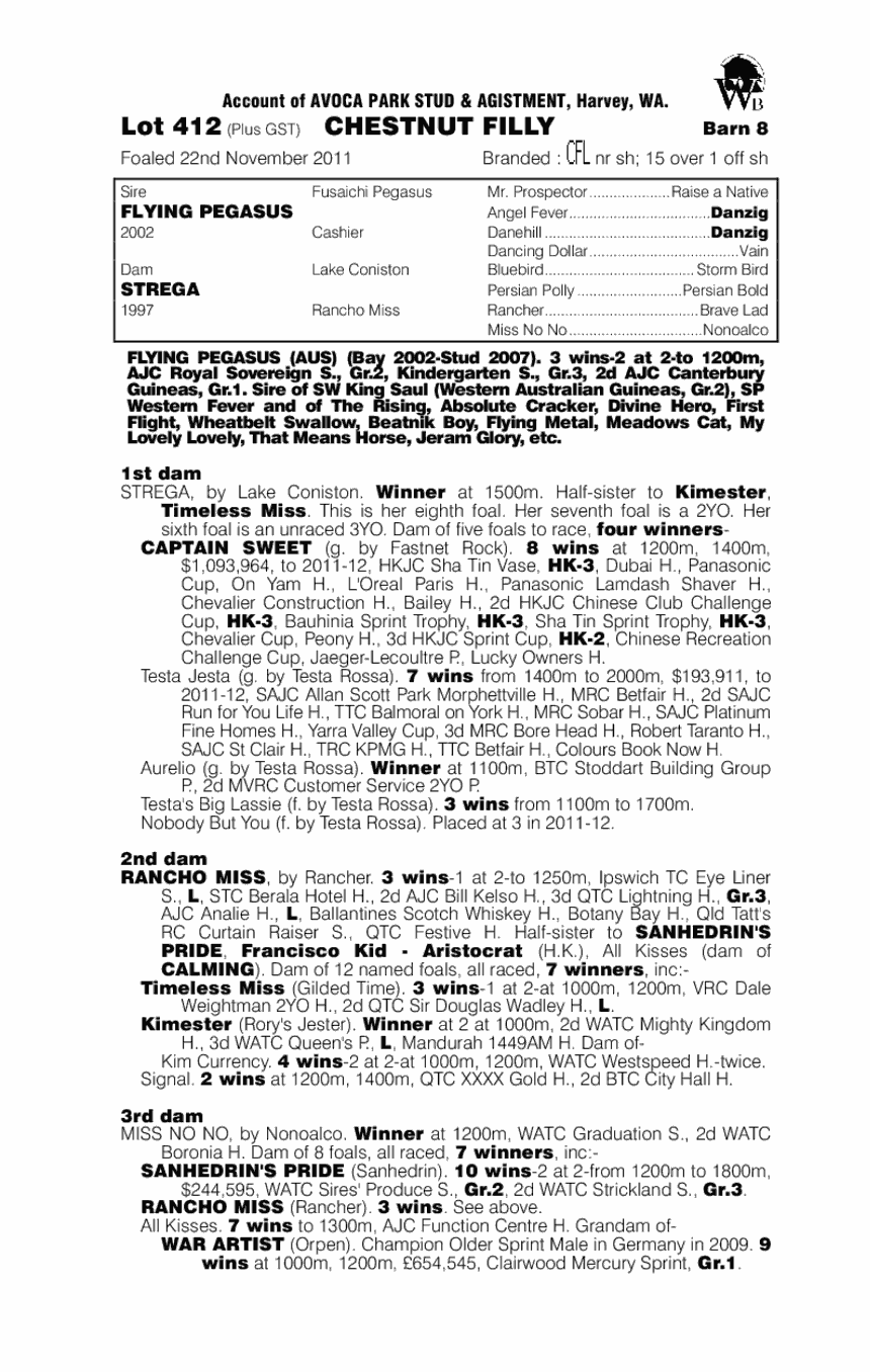 Stregheria Thoroughbred Horse Profile - Next Race, Form, Stats, News ...