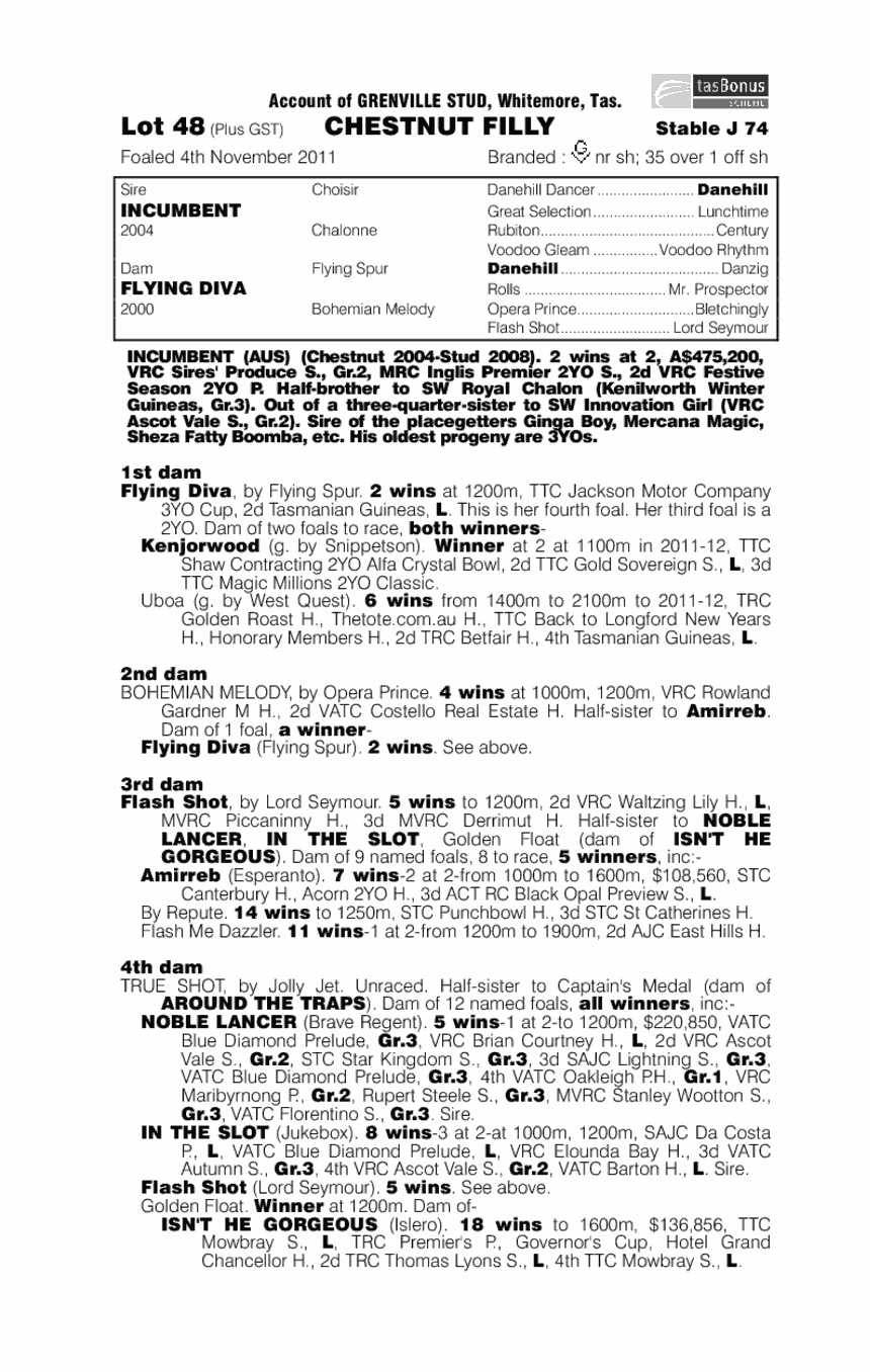 Flying Dami Thoroughbred Horse Profile - Next Race, Form, Stats, News ...