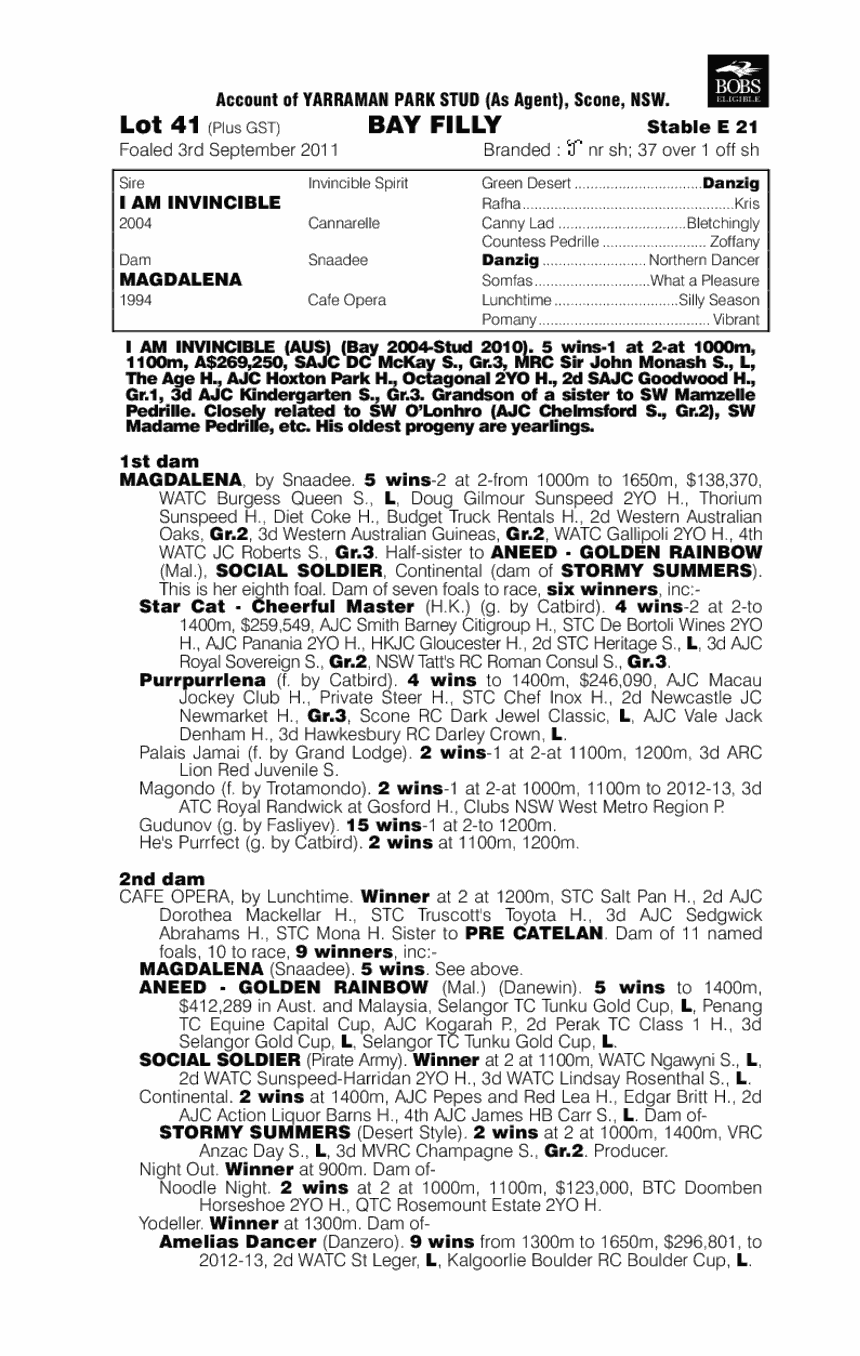 Tetsuko Thoroughbred Horse Profile - Next Race, Form, Stats, News ...