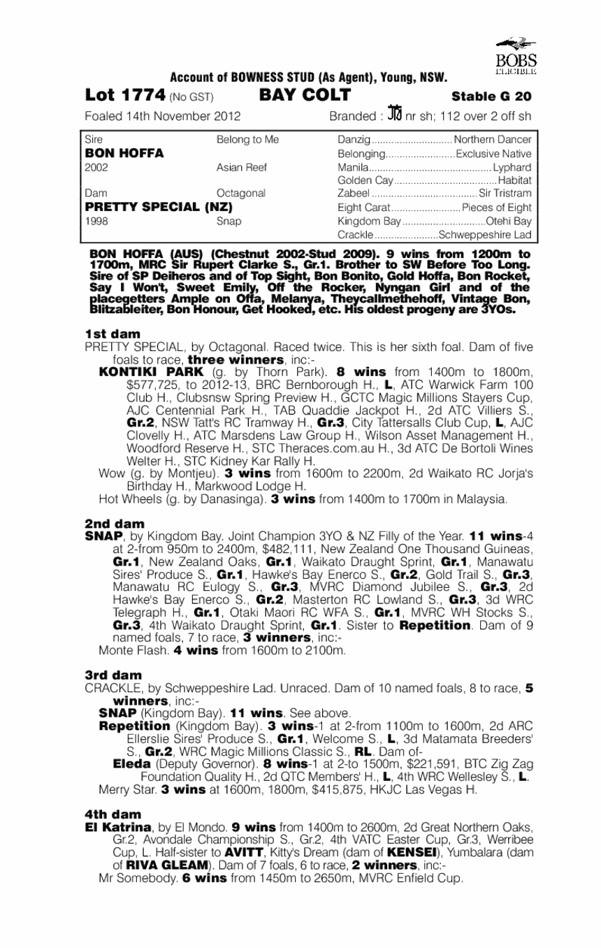 Hero Of Faith Thoroughbred Horse Profile - Next Race, Form, Stats, News ...