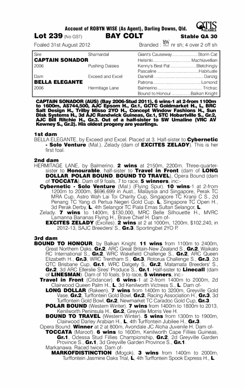 Captain Excel Thoroughbred Horse Profile - Next Race, Form, Stats, News ...