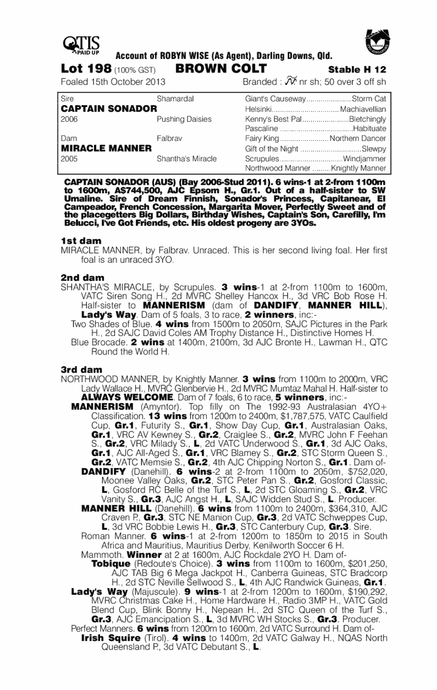 My Captain Miracle Thoroughbred Horse Profile - Next Race, Form, Stats ...