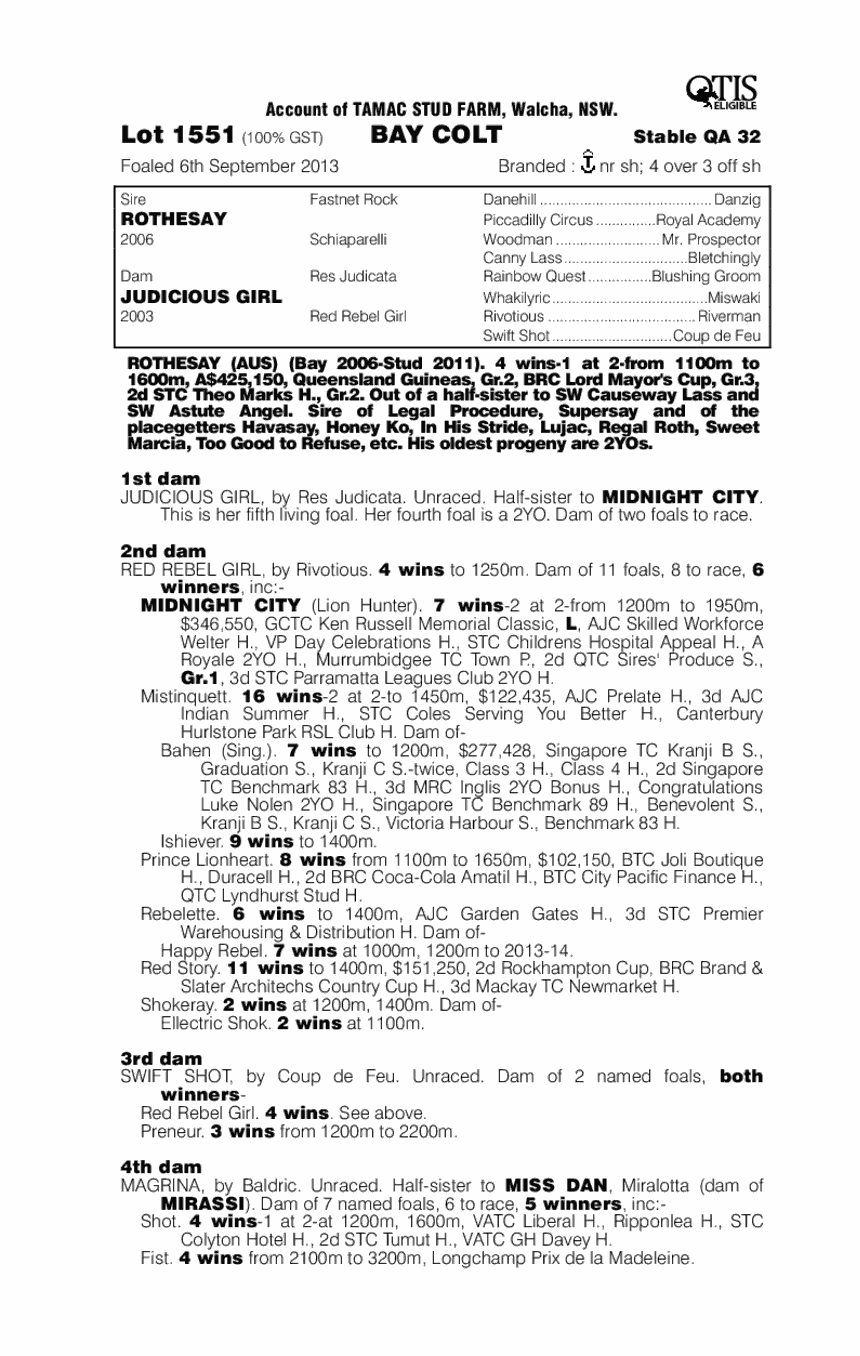 Invicta Thoroughbred Horse Profile - Next Race, Form, Stats, News ...