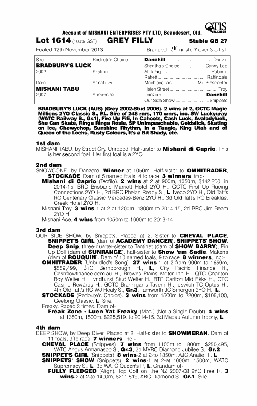 Mishani Silva Thoroughbred Horse Profile - Next Race, Form, Stats, News ...