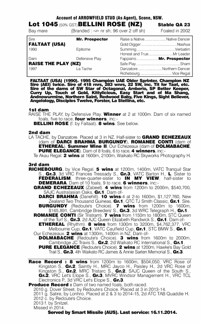 Bellini Rose Thoroughbred Horse Profile - Next Race, Form, Stats, News ...