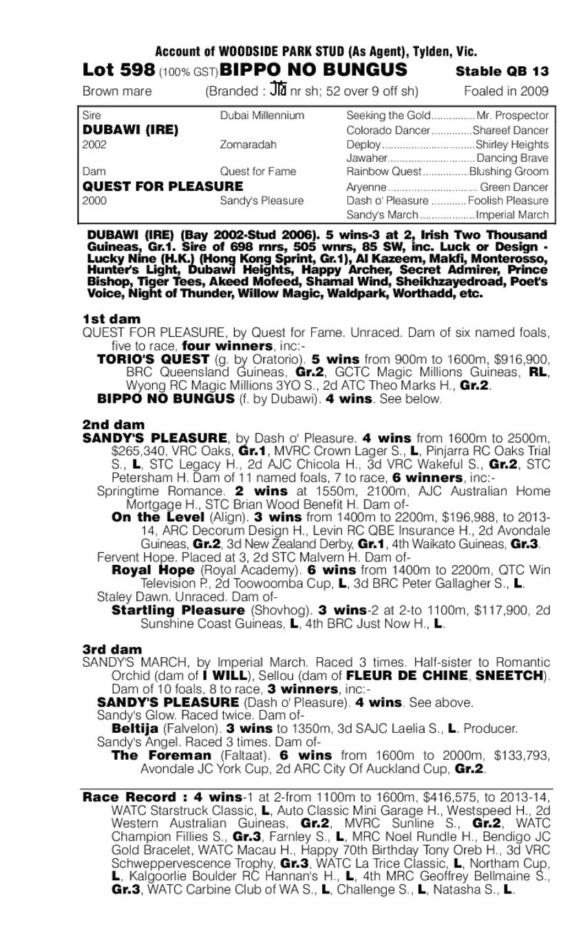 Bippo No Bungus Thoroughbred Horse Profile - Next Race, Form, Stats ...