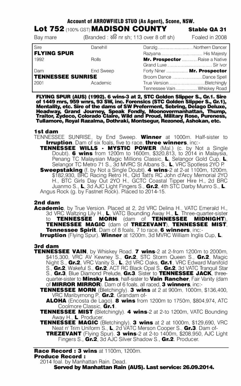 Madison County Thoroughbred Horse Profile - Next Race, Form, Stats ...