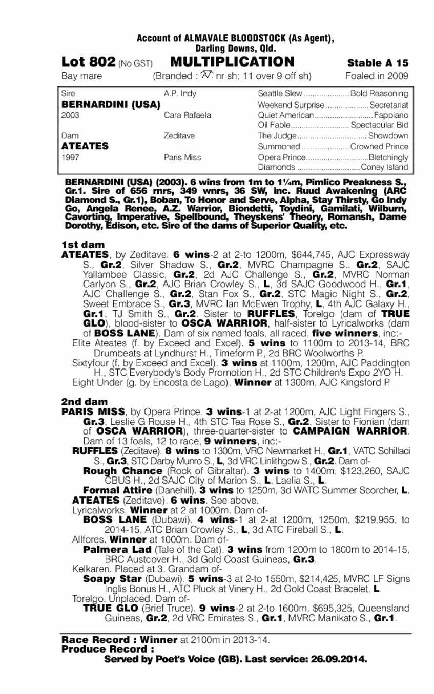 Multiplication Thoroughbred Horse Profile - Next Race, Form, Stats ...