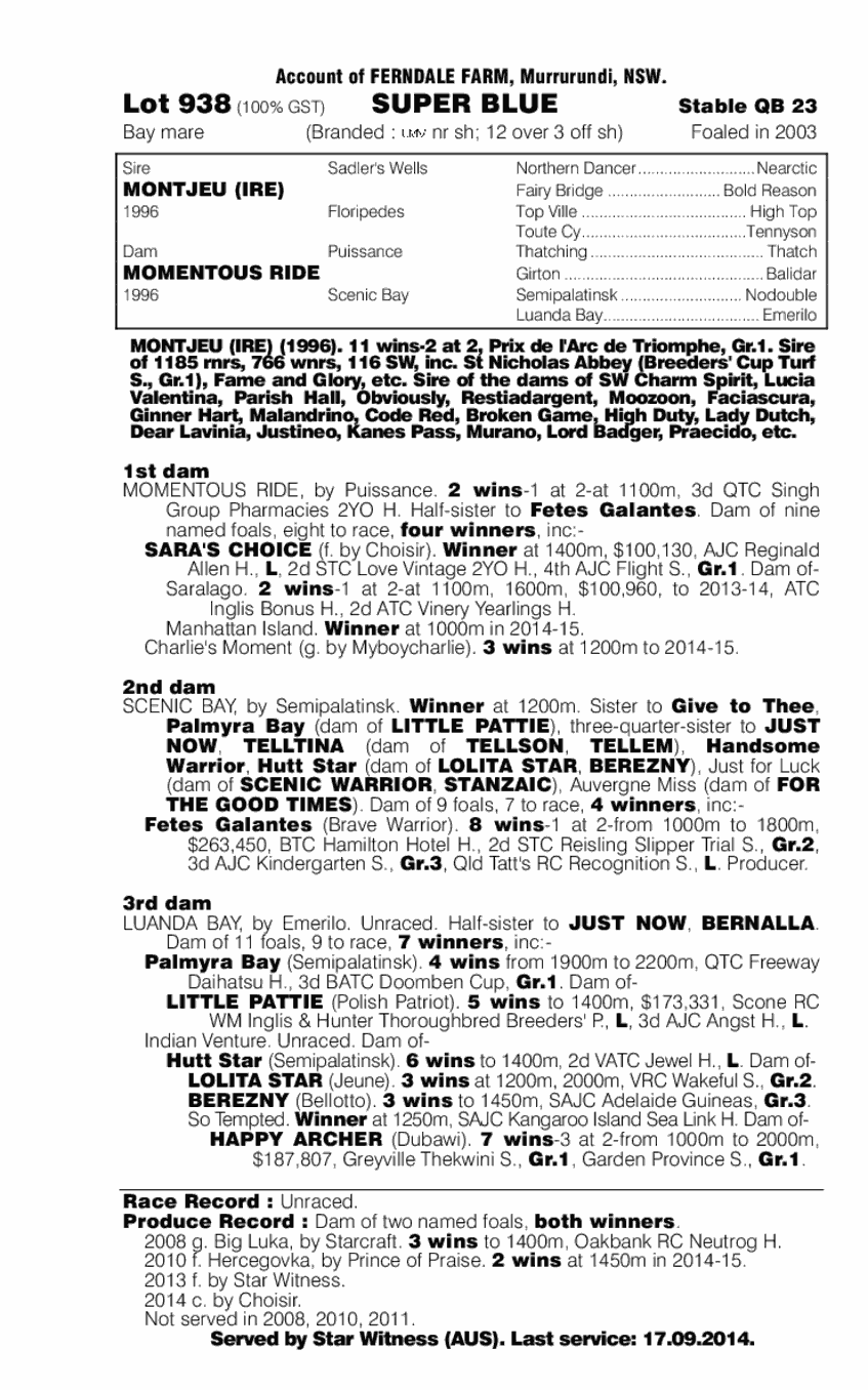 Super Blue Thoroughbred Horse Profile - Next Race, Form, Stats, News ...