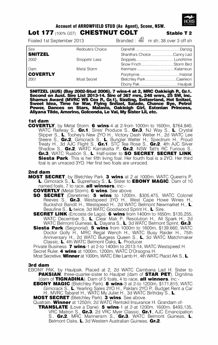 Bombay Blitz Thoroughbred Horse Profile - Next Race, Form, Stats, News ...