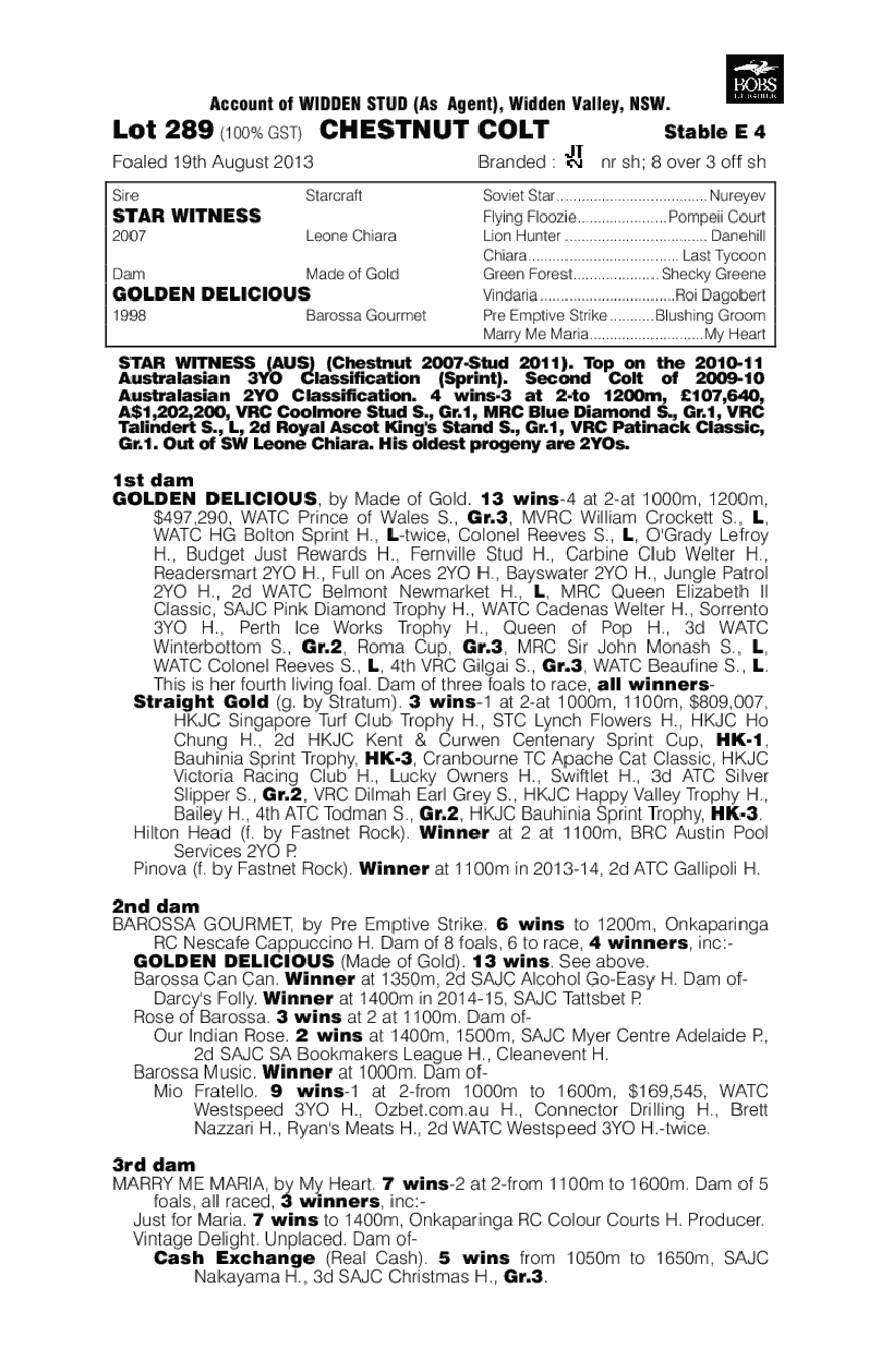 Star Turn Thoroughbred Horse Profile - Next Race, Form, Stats, News ...