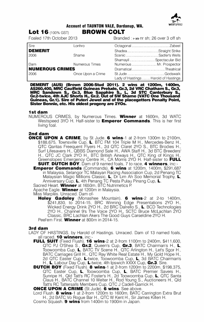 No Demerit Thoroughbred Horse Profile - Next Race, Form, Stats, News ...