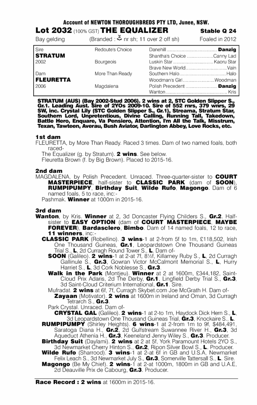 The Equalizer Thoroughbred Horse Profile - Next Race, Form, Stats, News ...