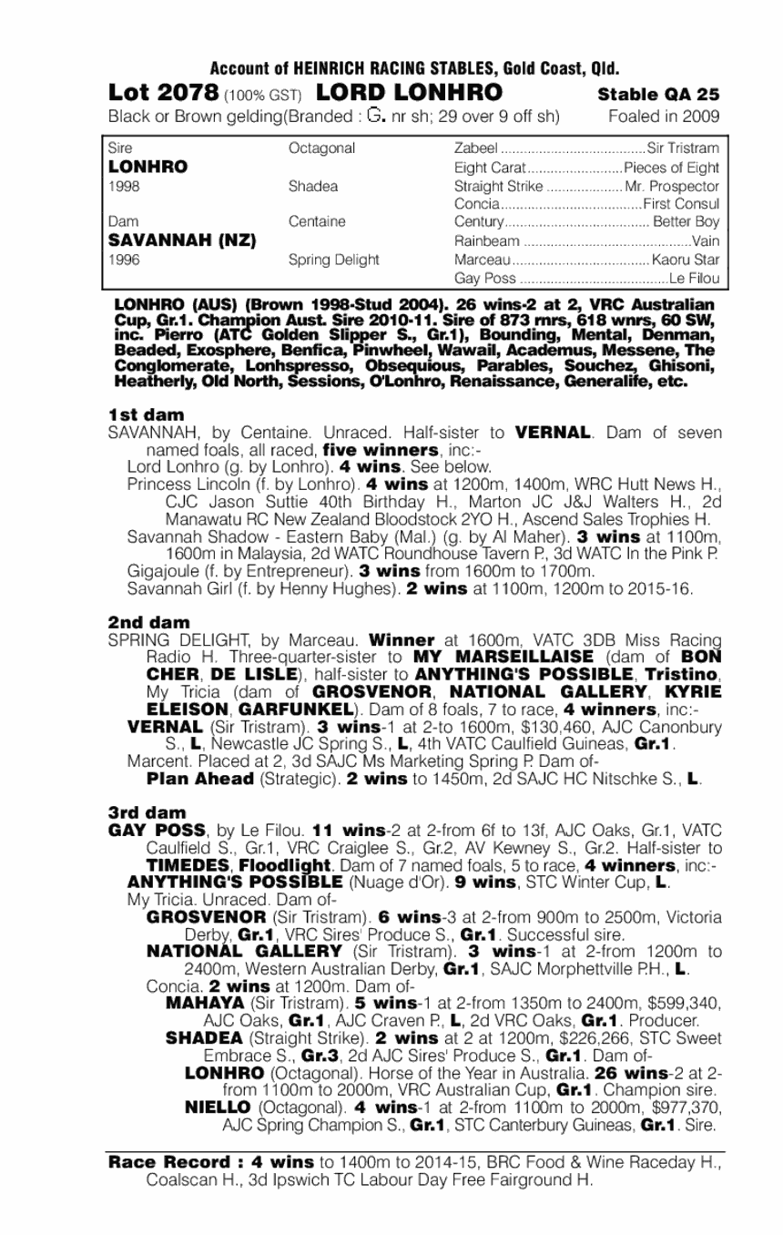 Lord Lonhro Thoroughbred Horse Profile - Next Race, Form, Stats, News ...