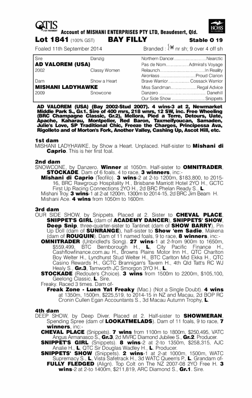Mishani Electra Thoroughbred Horse Profile - Next Race, Form, Stats ...