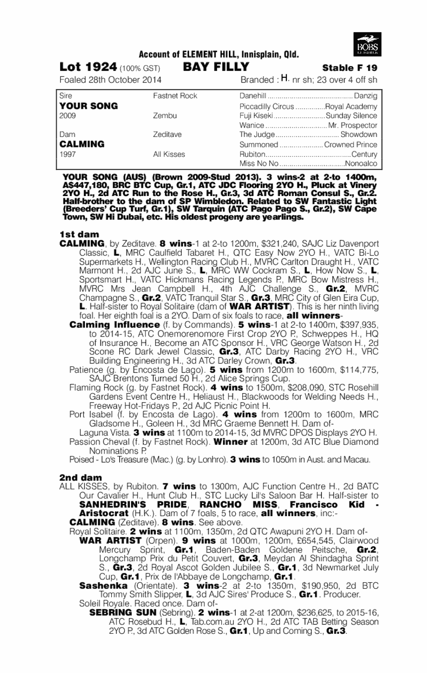 Girl In A Million Thoroughbred Horse Profile - Next Race, Form, Stats ...