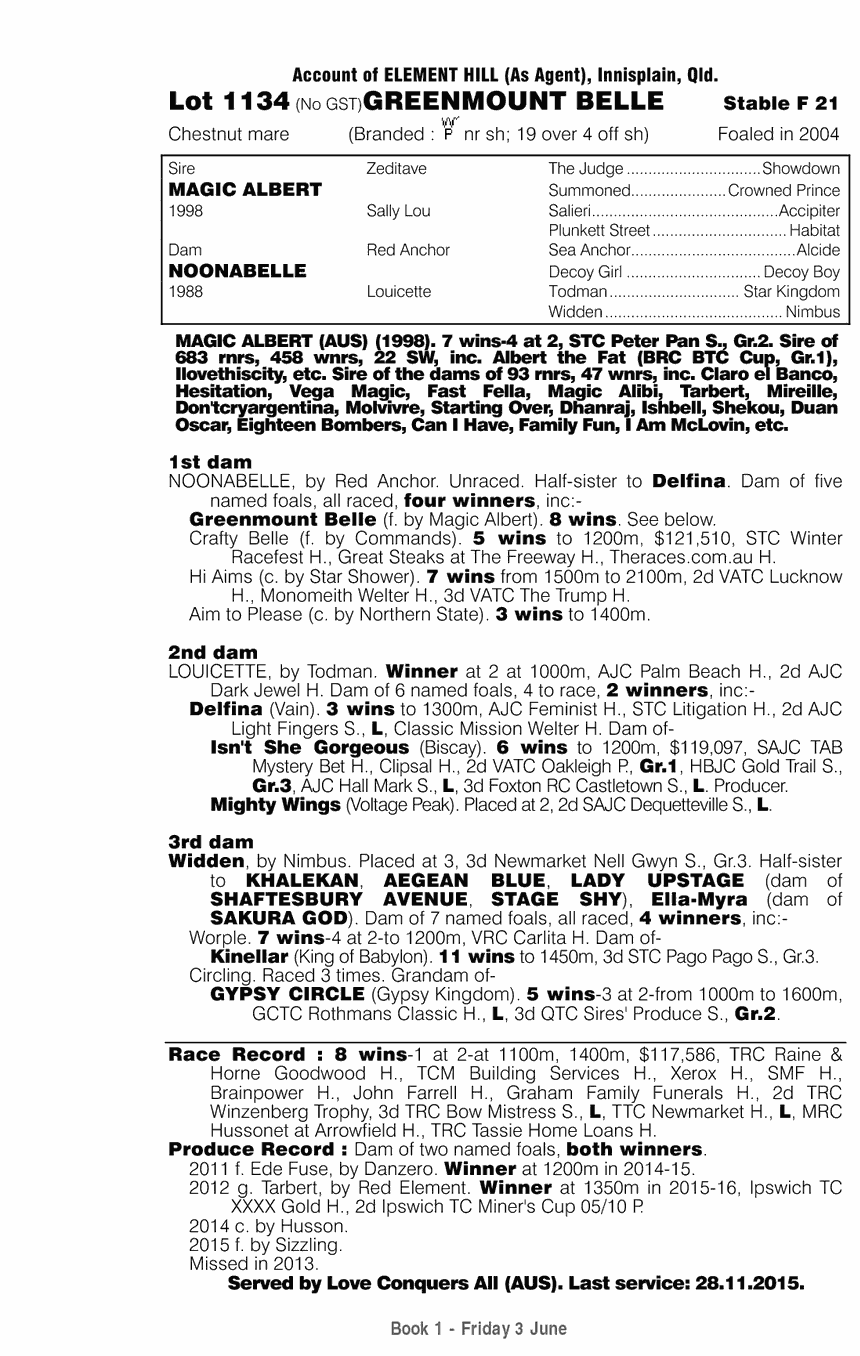 Greenmount Belle Thoroughbred Horse Profile - Next Race, Form, Stats ...