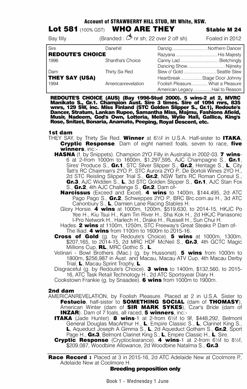 Who Are They Thoroughbred Horse Profile - Next Race, Form, Stats, News, Breeding | Sky Racing ...