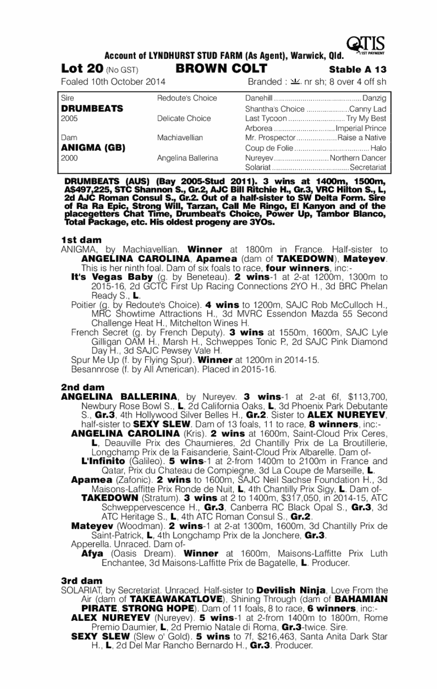 Colpo Di Tamburo Thoroughbred Horse Profile - Next Race, Form, Stats ...