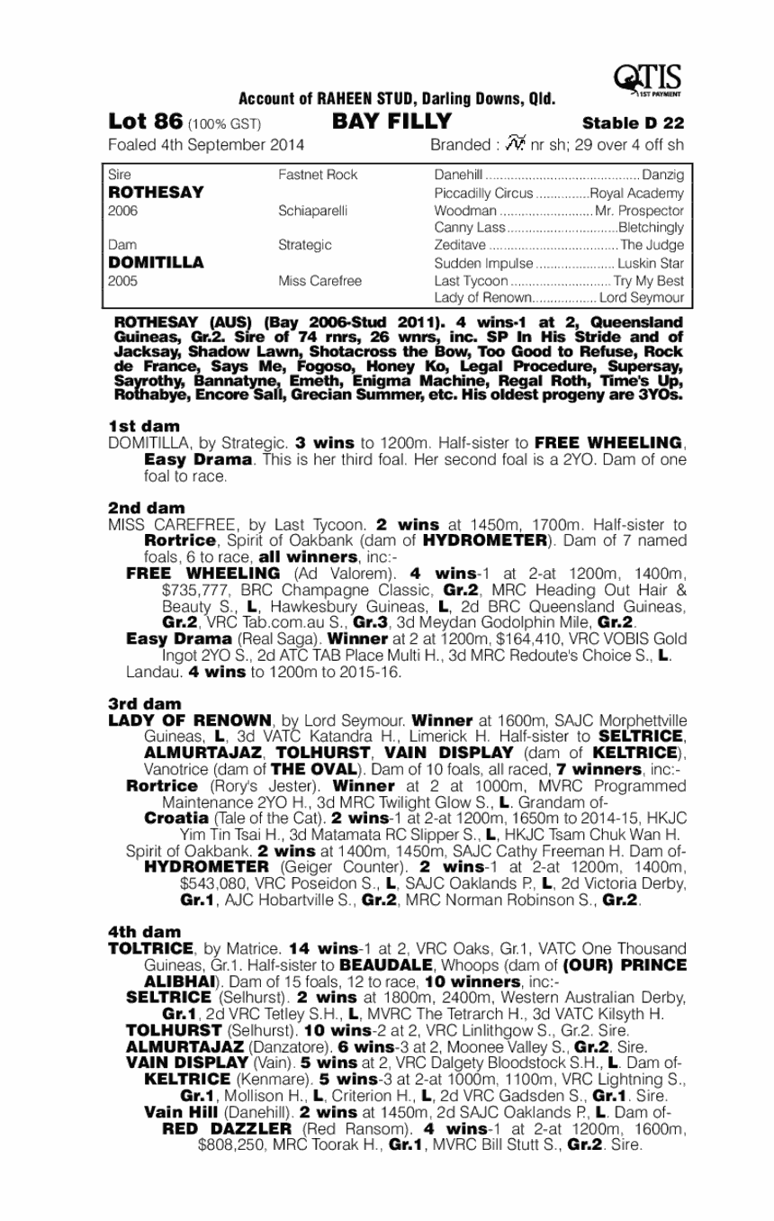 Dotti Dear Thoroughbred Horse Profile - Next Race, Form, Stats, News ...