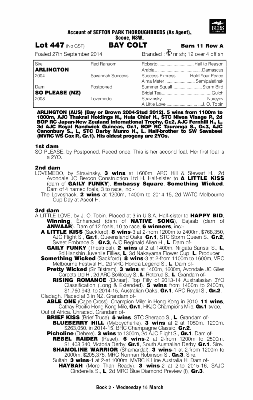 Texas Miller Thoroughbred Horse Profile - Next Race, Form, Stats, News ...