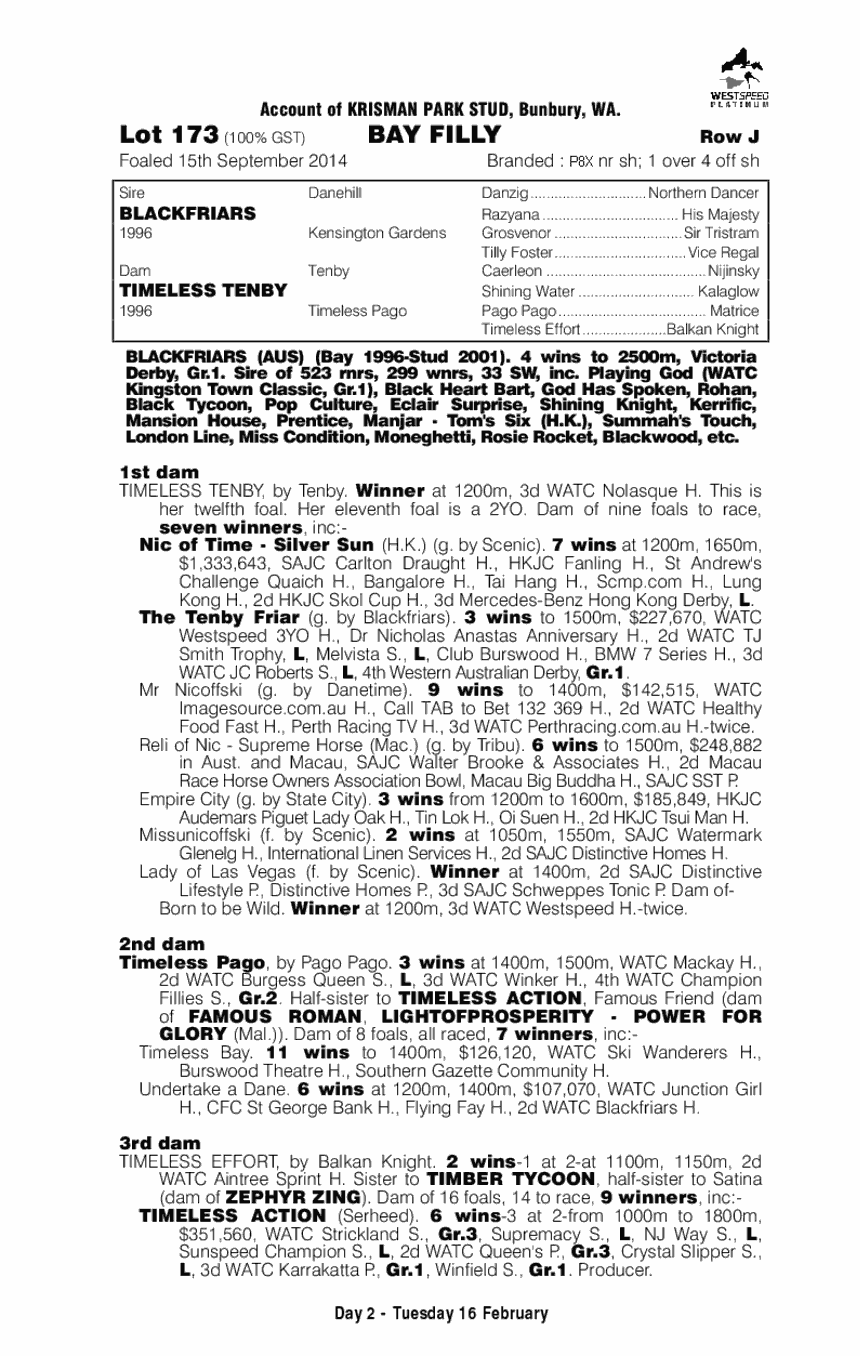 Unending Thoroughbred Horse Profile - Next Race, Form, Stats, News ...