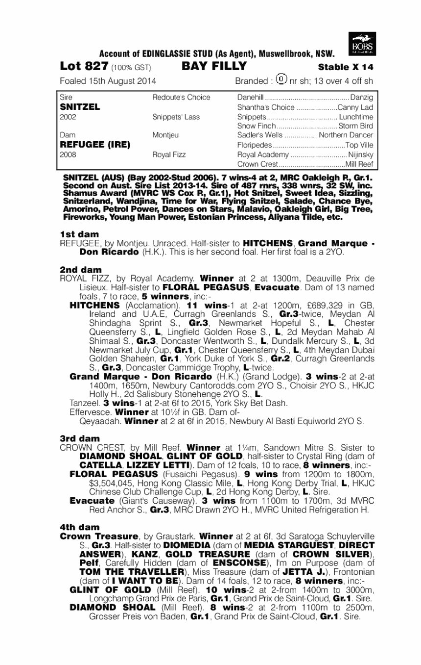 Majestueux Thoroughbred Horse Profile - Next Race, Form, Stats, News ...