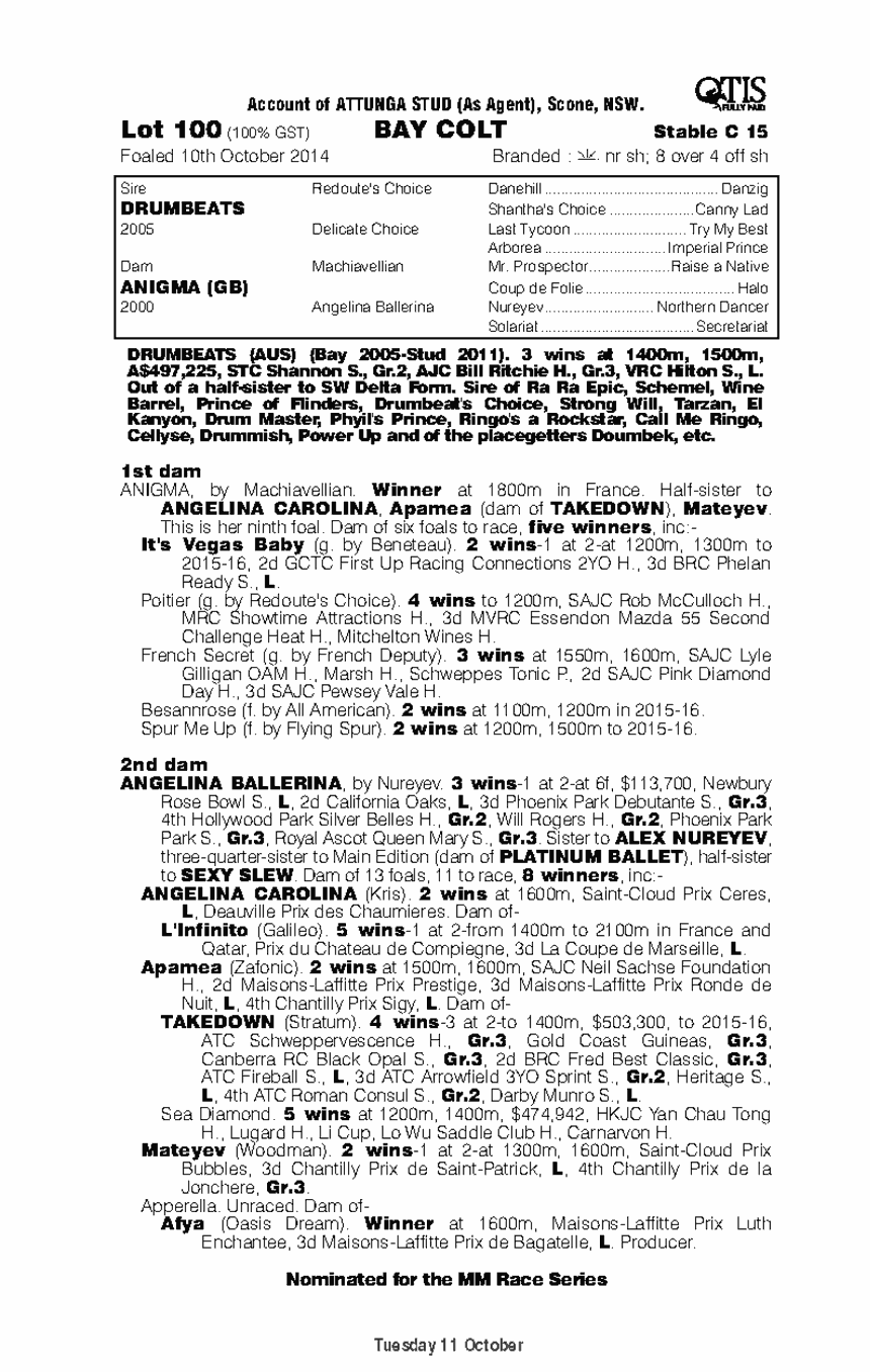 Colpo Di Tamburo Thoroughbred Horse Profile - Next Race, Form, Stats ...