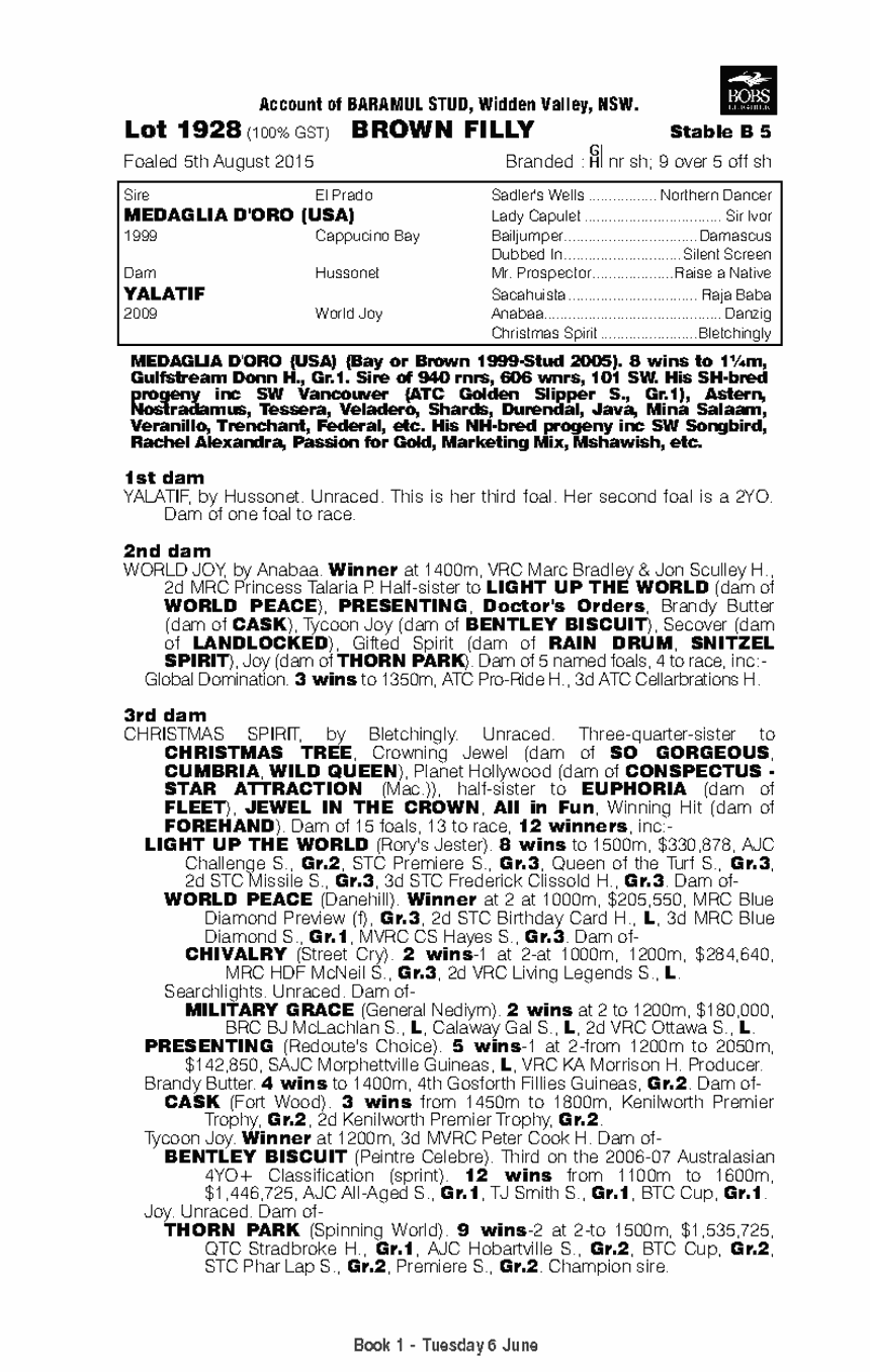 Arabic Thoroughbred Horse Profile - Next Race, Form, Stats, News, Breeding | Sky Racing World ...