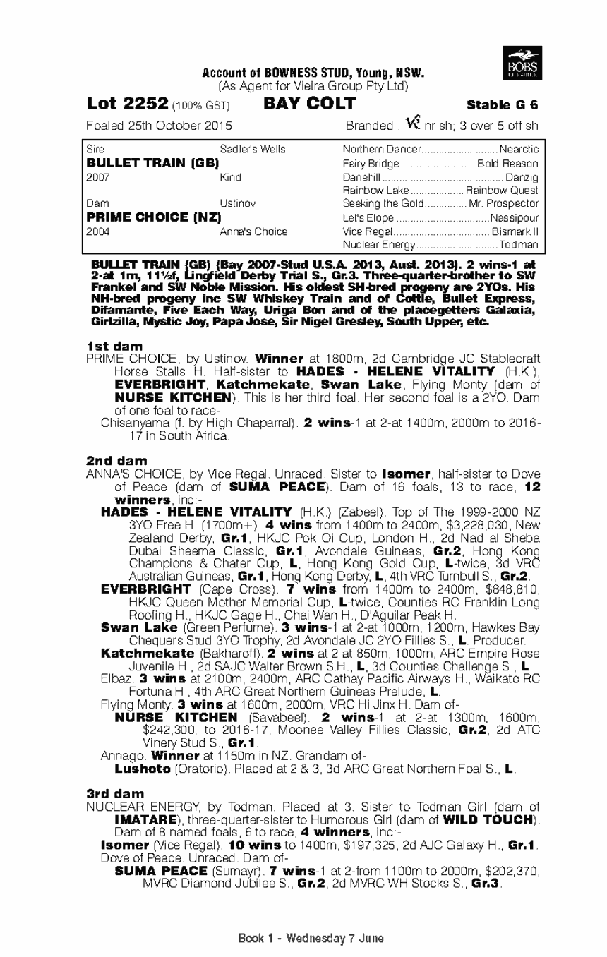 Invincible Train Thoroughbred Horse Profile - Next Race, Form, Stats ...