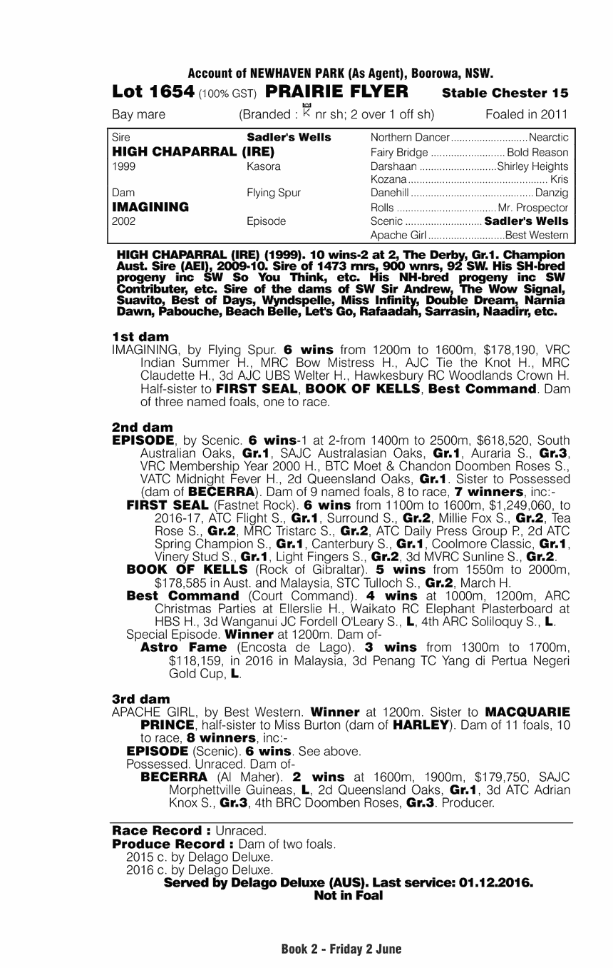 Prairie Flyer Thoroughbred Horse Profile - Next Race, Form, Stats, News ...