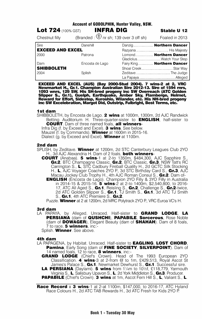 Infra Dig Thoroughbred Horse Profile - Next Race, Form, Stats, News ...