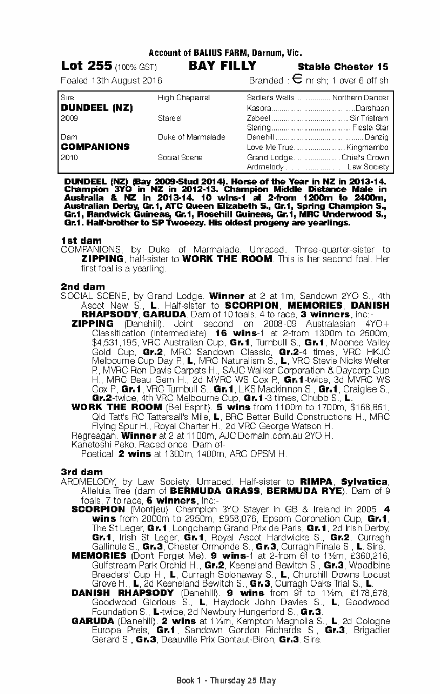 Annandale Thoroughbred Horse Profile - Next Race, Form, Stats, News ...