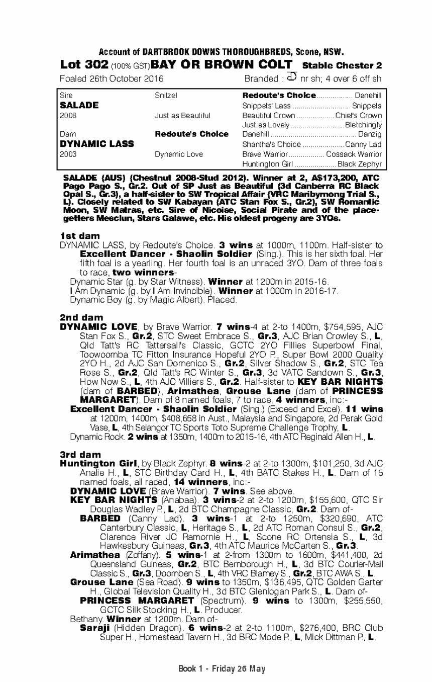 River Ruby Thoroughbred Horse Profile - Next Race, Form, Stats, News ...