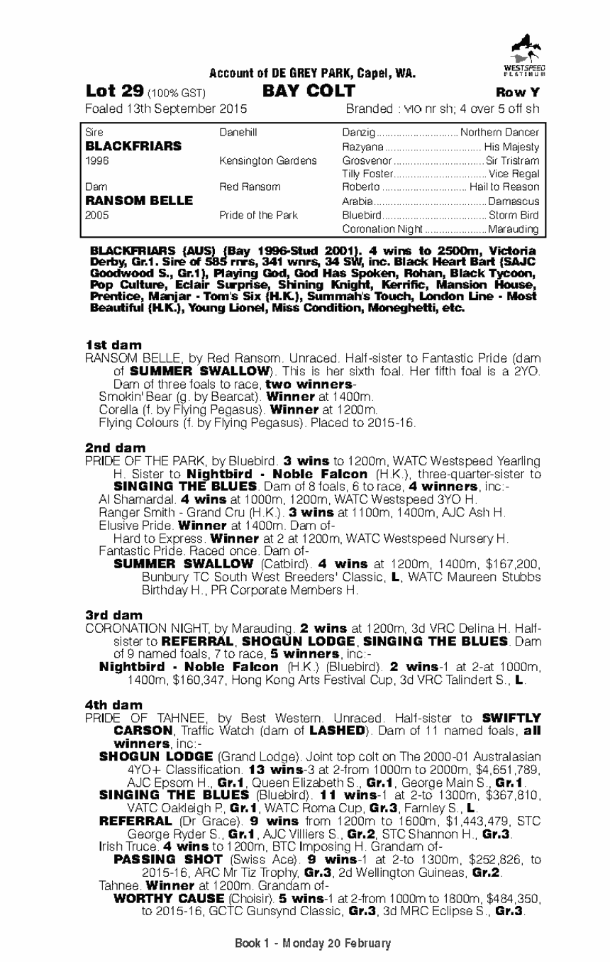 Black Ransom Thoroughbred Horse Profile - Next Race, Form, Stats, News ...