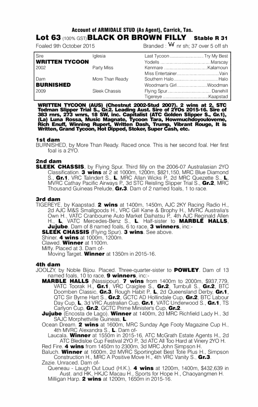 Golden Script Thoroughbred Horse Profile - Next Race, Form, Stats, News ...