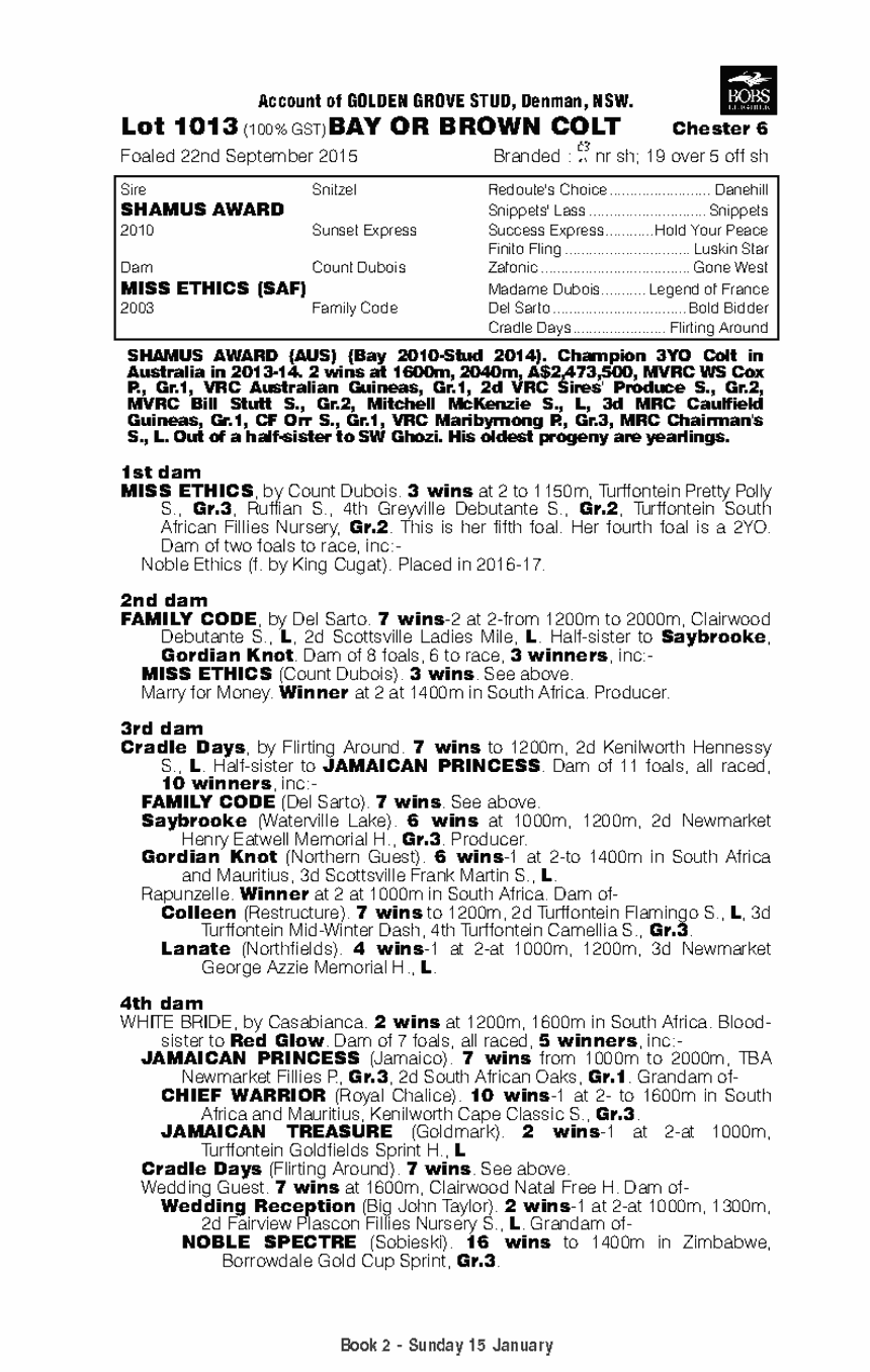 Ethical Dilemma Thoroughbred Horse Profile - Next Race, Form, Stats ...