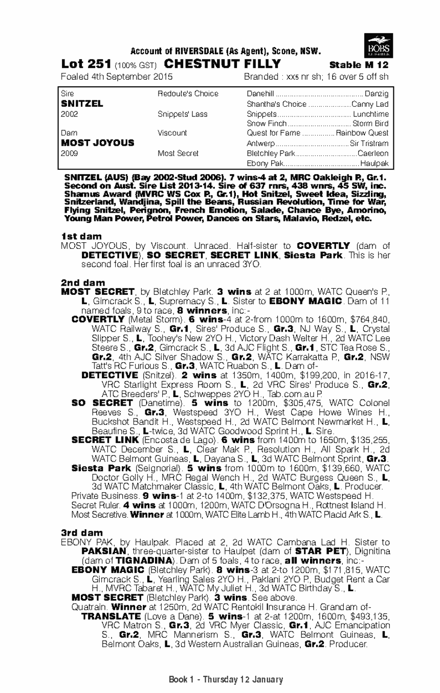 Sminky Shorts Thoroughbred Horse Profile - Next Race, Form, Stats, News ...