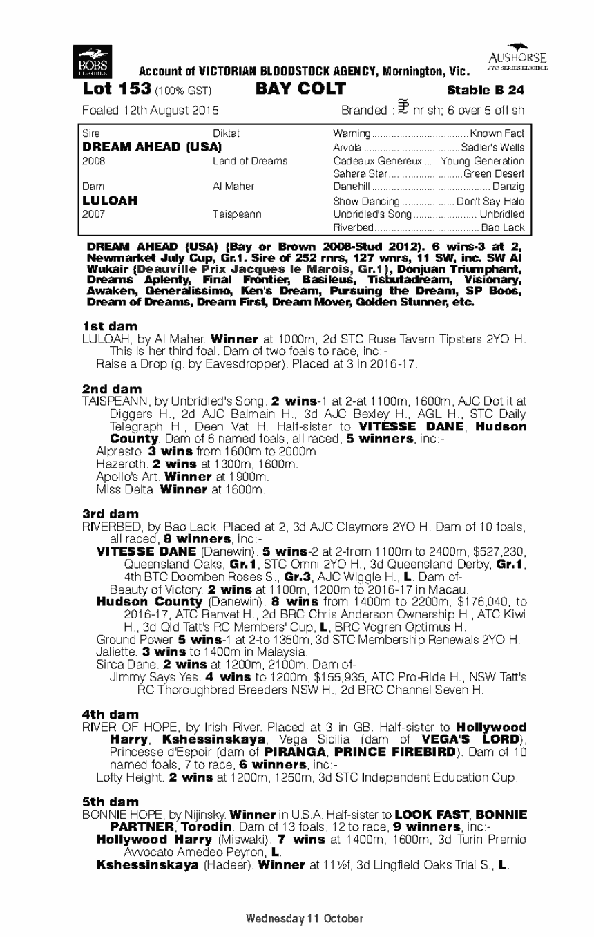 Firstclass Dreamer Thoroughbred Horse Profile - Next Race, Form, Stats ...